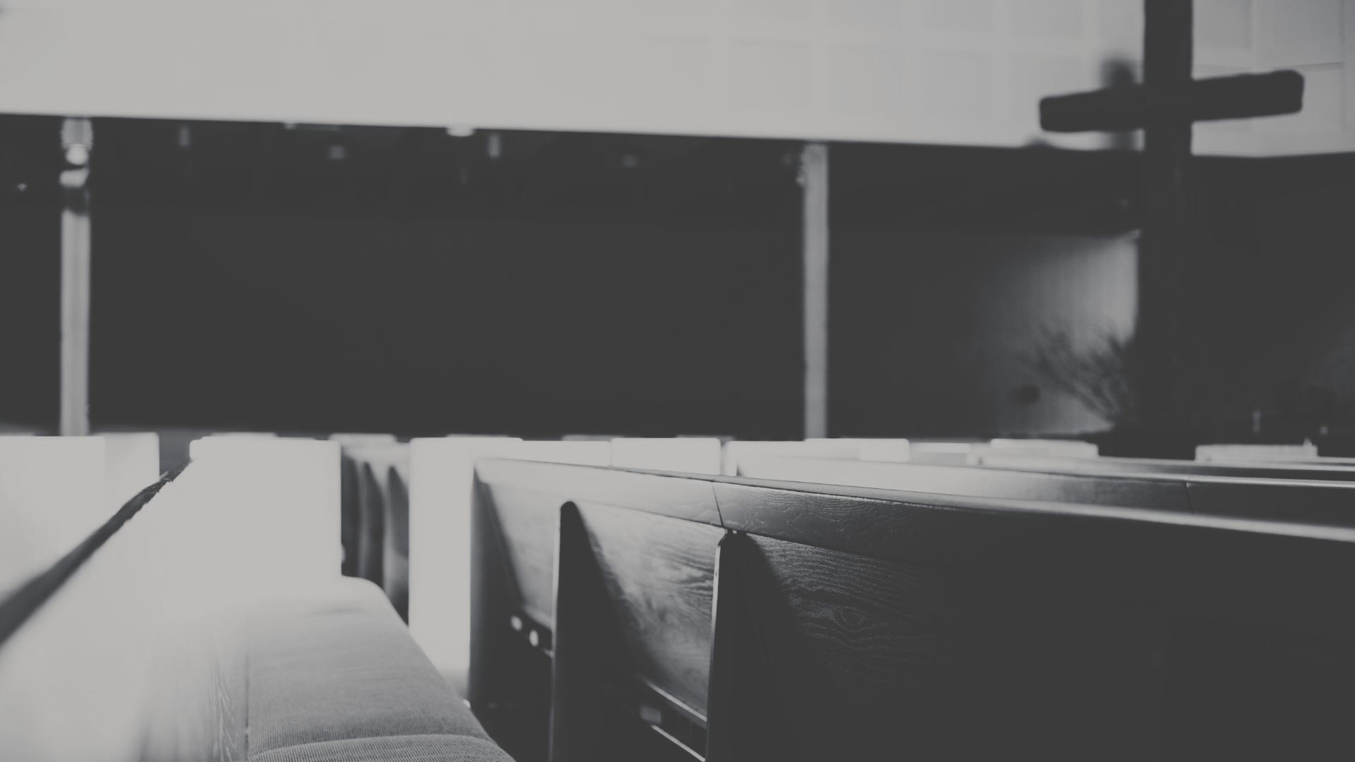 Confessional – The Orange Couch